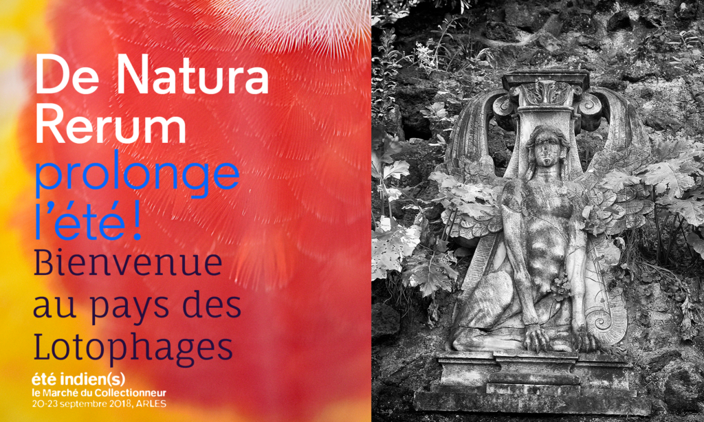 Bienvenue au pays des Lotophages #étéindiens - De natura rerum