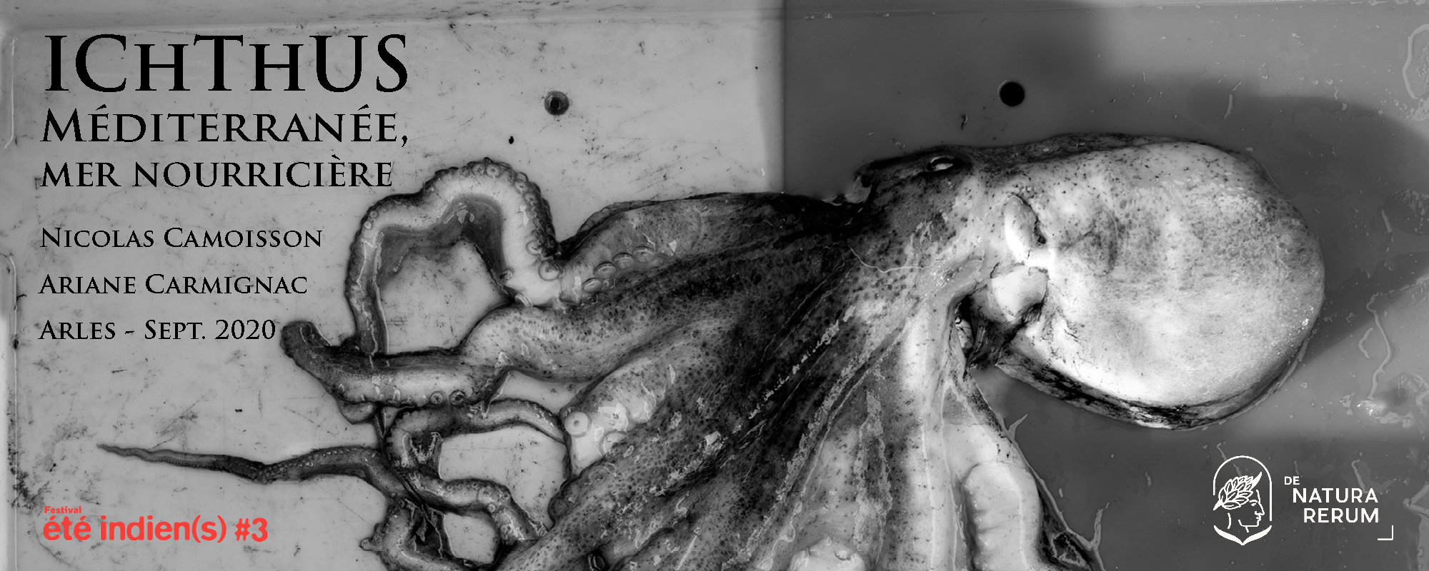 IChThUS. Méditerranée, mer nourricière. Nicolas Camoisson & Ariane ...